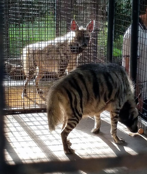 Spending the Day at Cheetah's Rock Zanzibar - BYOUNGZ Digital Nomad